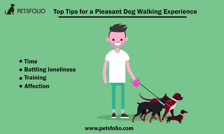 Top Tips for a Pleasant Dog Walking Experience - Petsfolio