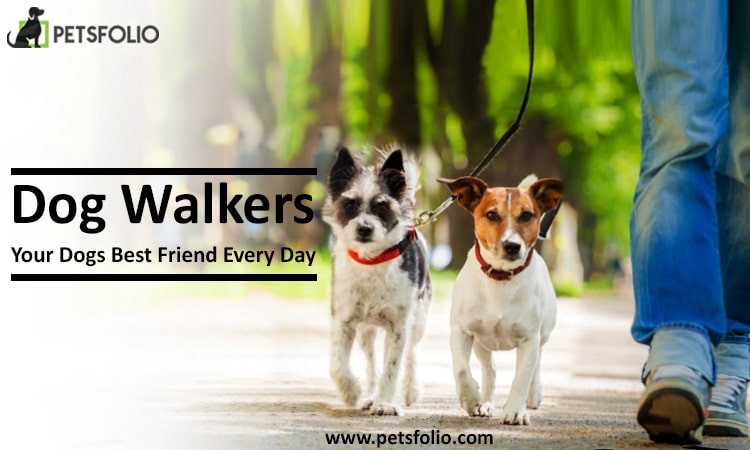 Dog Walkers - Your Dogs Best Friend Every Day - Petsfolio