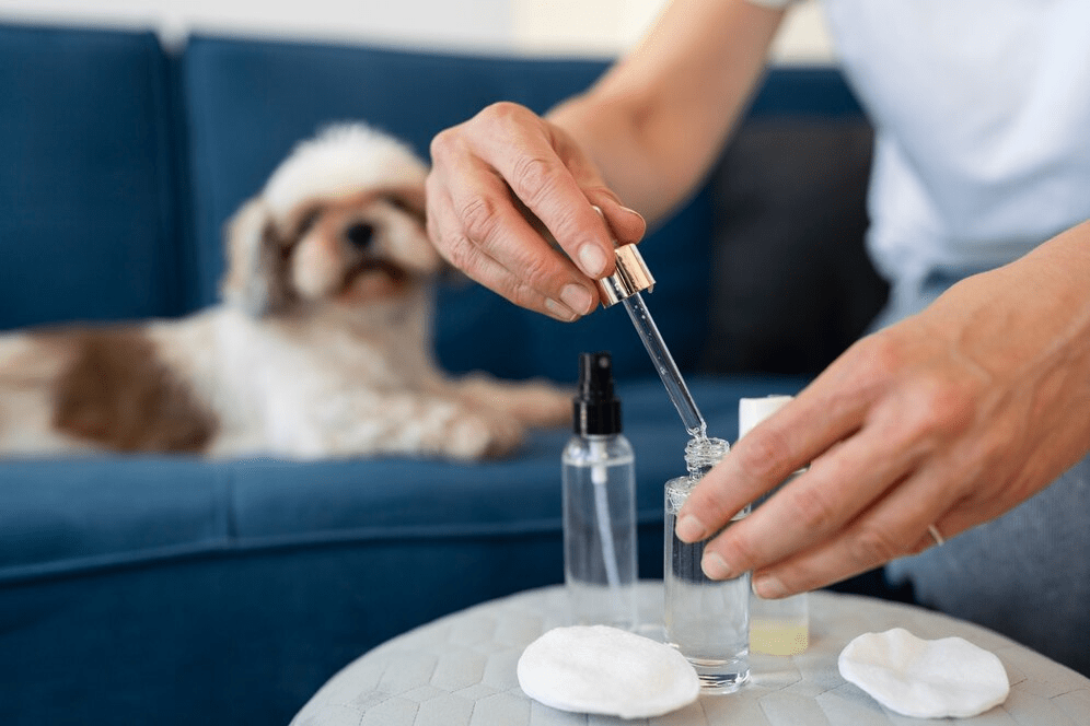 Resourceful Medicines used for the dogs - Petsfolio