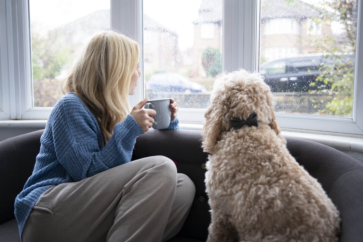 Complete Guide to Seasonal Pet Care: Tips for Every Weather