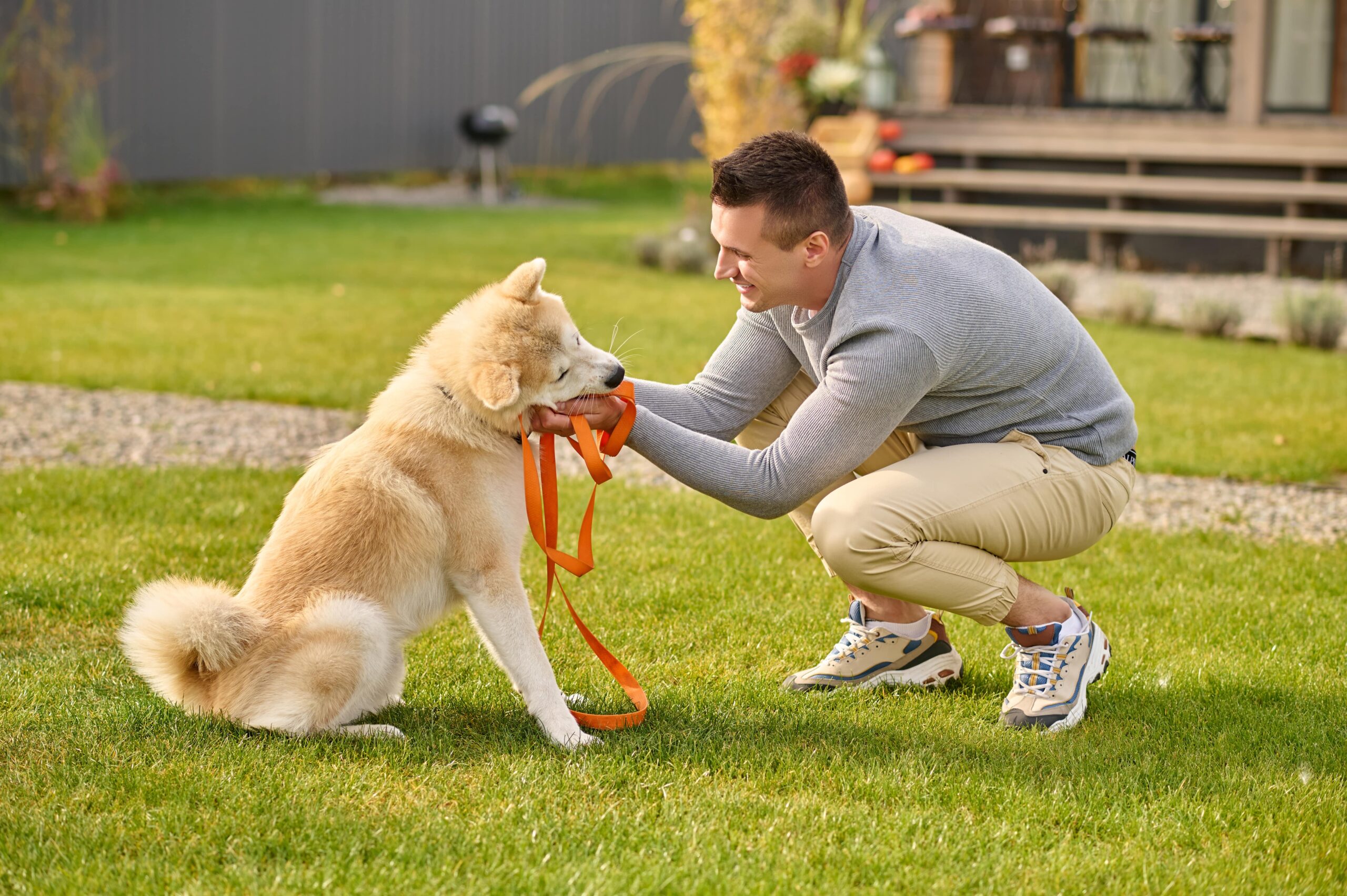 Positive Reinforcement Dog Training - Why Do Trainers Prefer It?